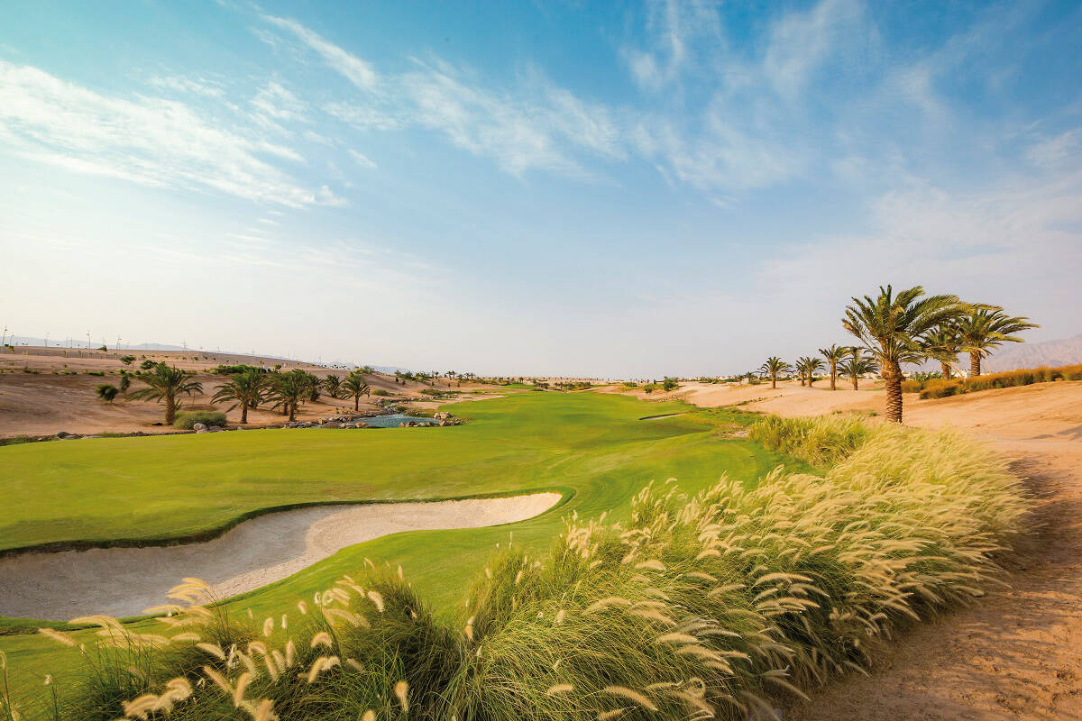 Ayla Golf Club, Aqaba, Jordan - Albrecht Golf Guide