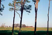 Bedinge Golfklubb, Beddingestrand, Sweden - Albrecht Golf Guide