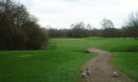 Golf Guide Sutton Coldfield: Golf Courses and Driving Ranges in Sutton ...