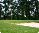 Constant Spring Golf Club, Kingston, Jamaica - Albrecht Golf Guide