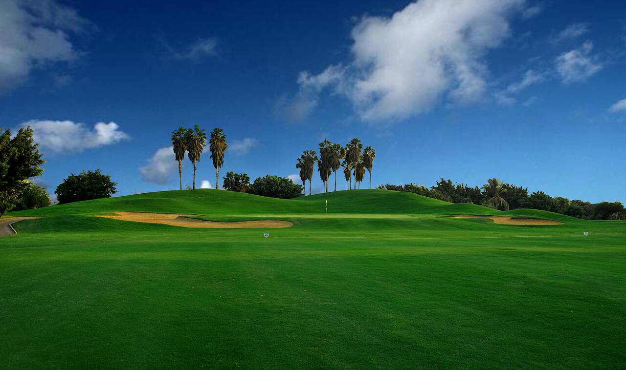 Dreamland Golf Resort, Cairo, Egypt - Albrecht Golf Guide