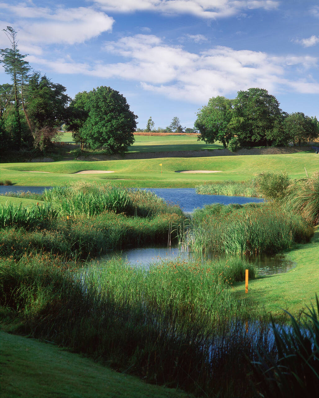 Fota Island Resort, Fota Island, Ireland - Albrecht Golf Guide