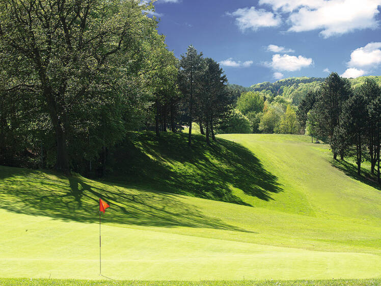 Golfclub Am Hockenberg, Seevetal - Albrecht Golf Führer