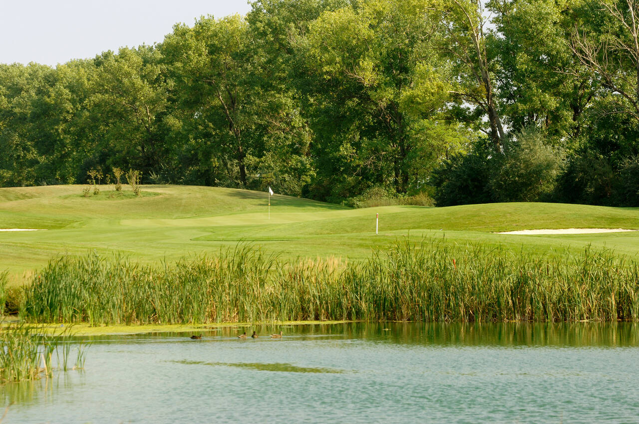 Golf Guide Schwechat: Golfclubs, Golfplätze und Driving Ranges in ...