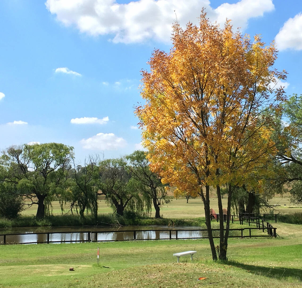 Marquard Golf Club, Marquard, South Africa - Albrecht Golf Guide