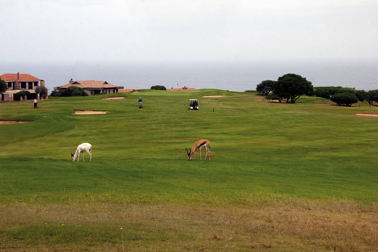 Golf Weather for Mossel Bay Golf Club, Mossel Bay, South Africa - 1Golf ...