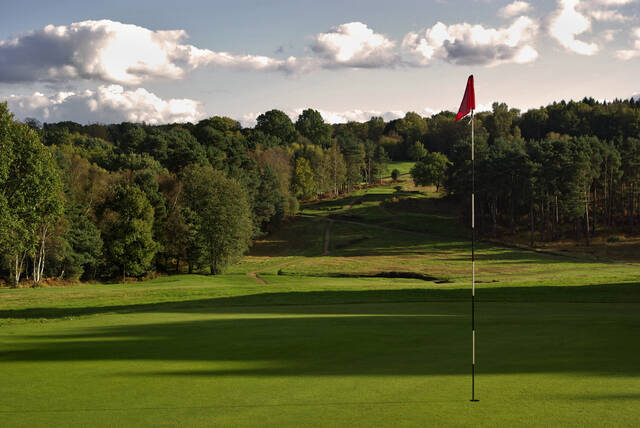 Royal Ashdown Forest Golf Club, Forest Row, United Kingdom - Albrecht ...