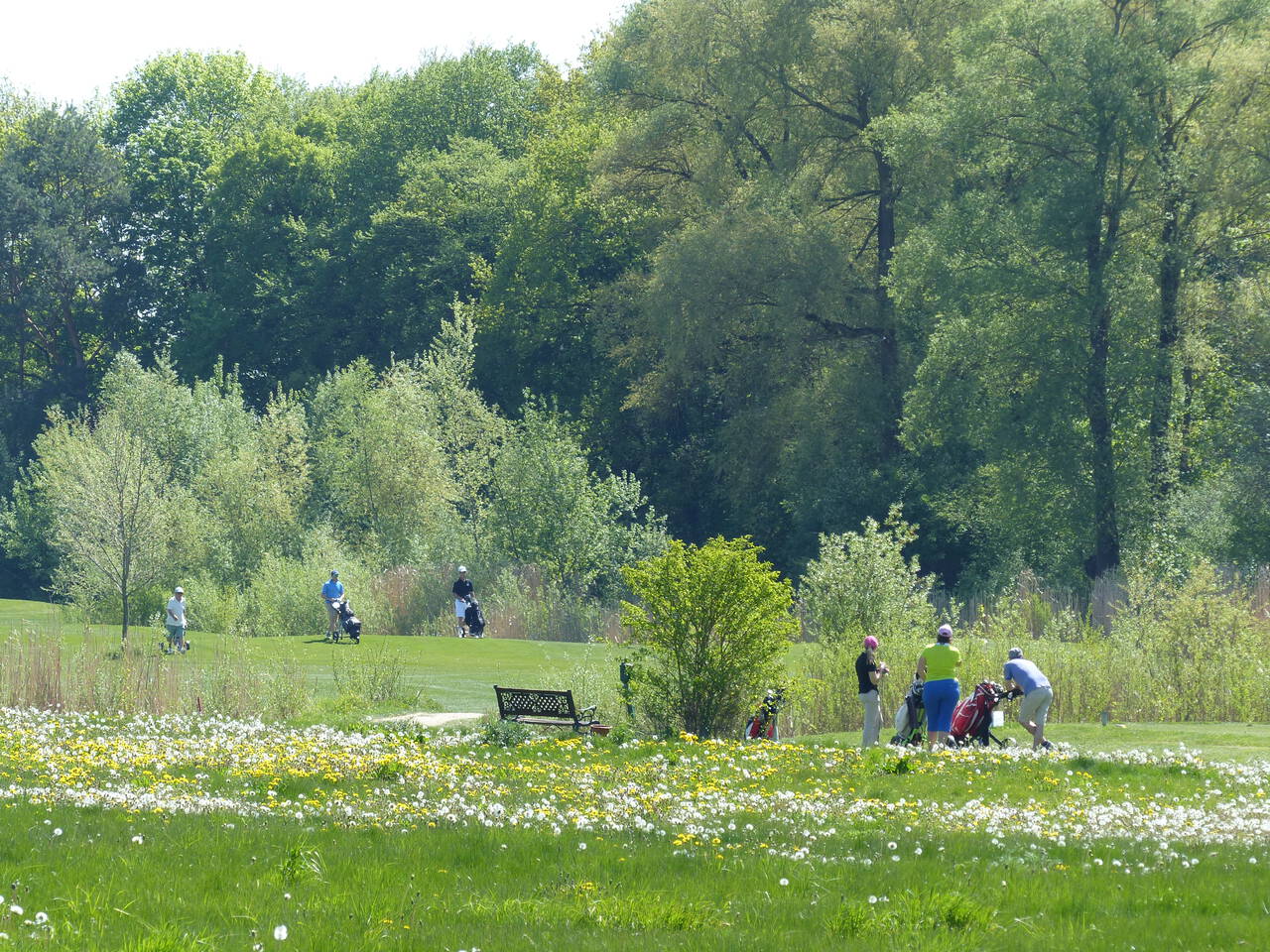 Zieglers Golfplatz GmbH & Co. KG, Neuburg-Heinrichsheim - Albrecht Golf ...